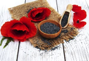 Mak - biljka opojne ljepote i svojstva