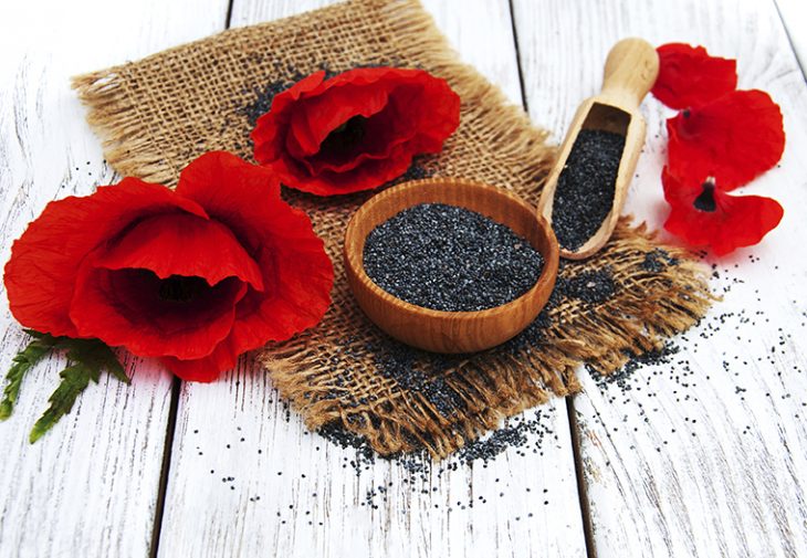 Mak - biljka opojne ljepote i svojstva