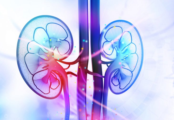 Djetinjstvo i bubrežne tegobe