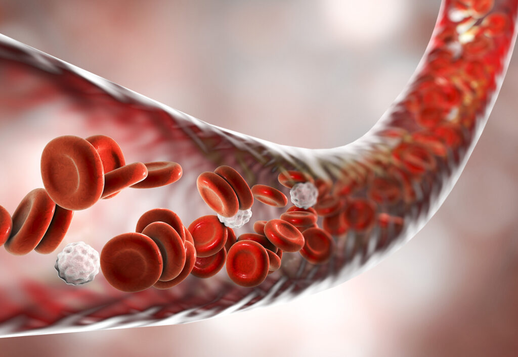 Crvena krvna zrnca: eritrociti izvan „normale“