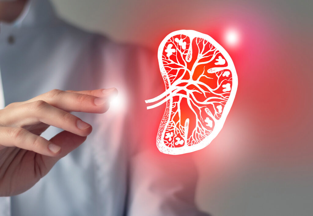 Veličina je važna: zašto dolazi do povećanja slezene