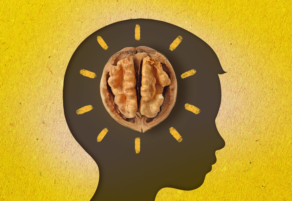 Prehrana za razvoj dječjeg mozga