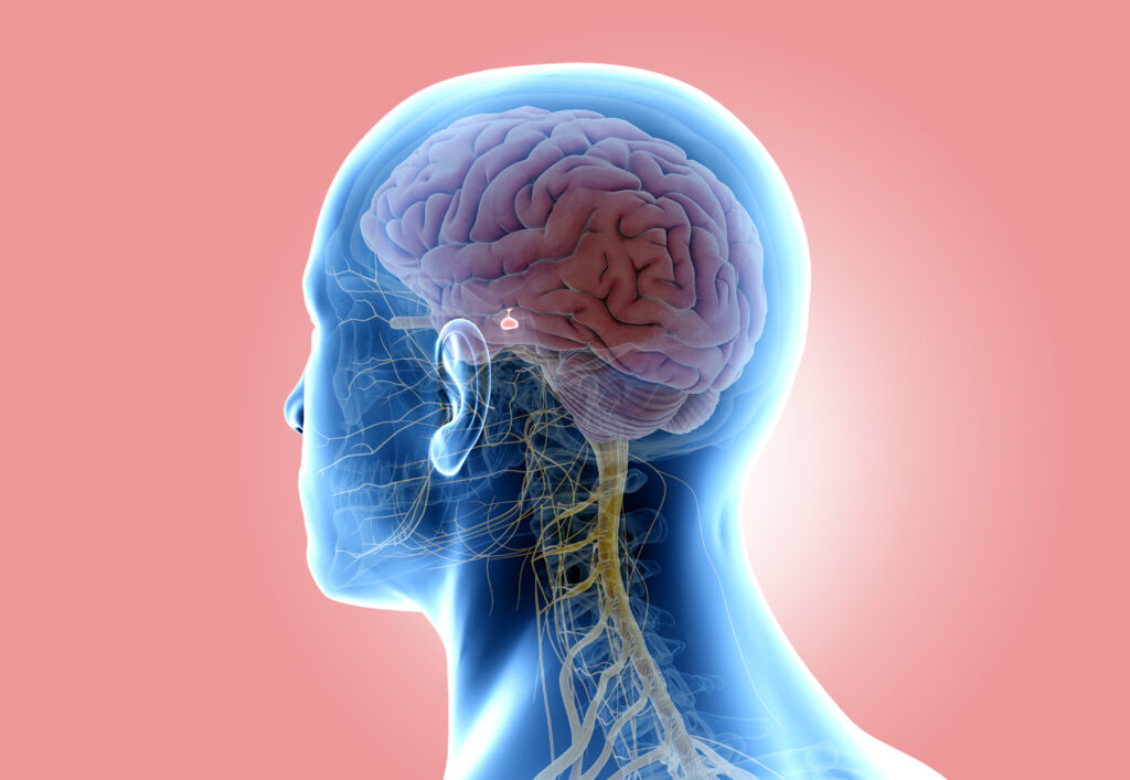 Hipopituitarizam: što je to i kada je potrebno liječenje?